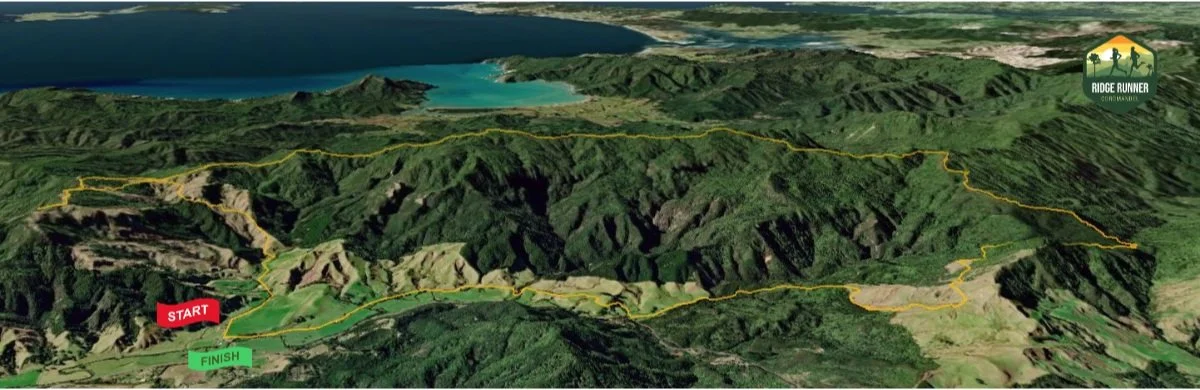 Ridge Runner | Coromandel Trail Run Adventure — Element Events