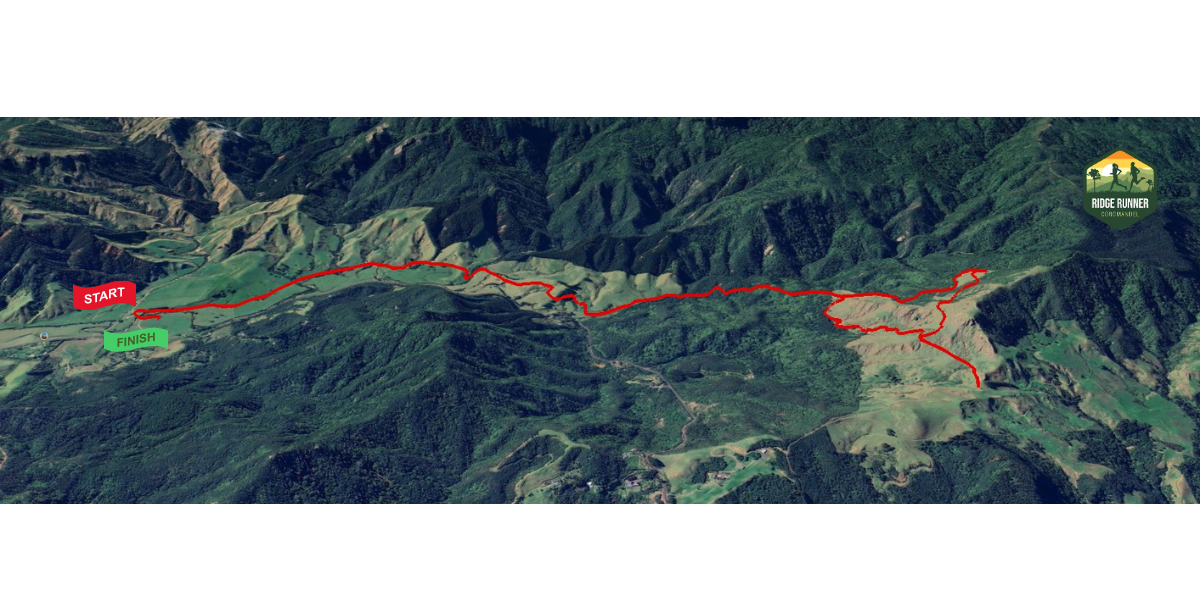 Ridge Runner | Coromandel Trail Run Adventure — Element Events