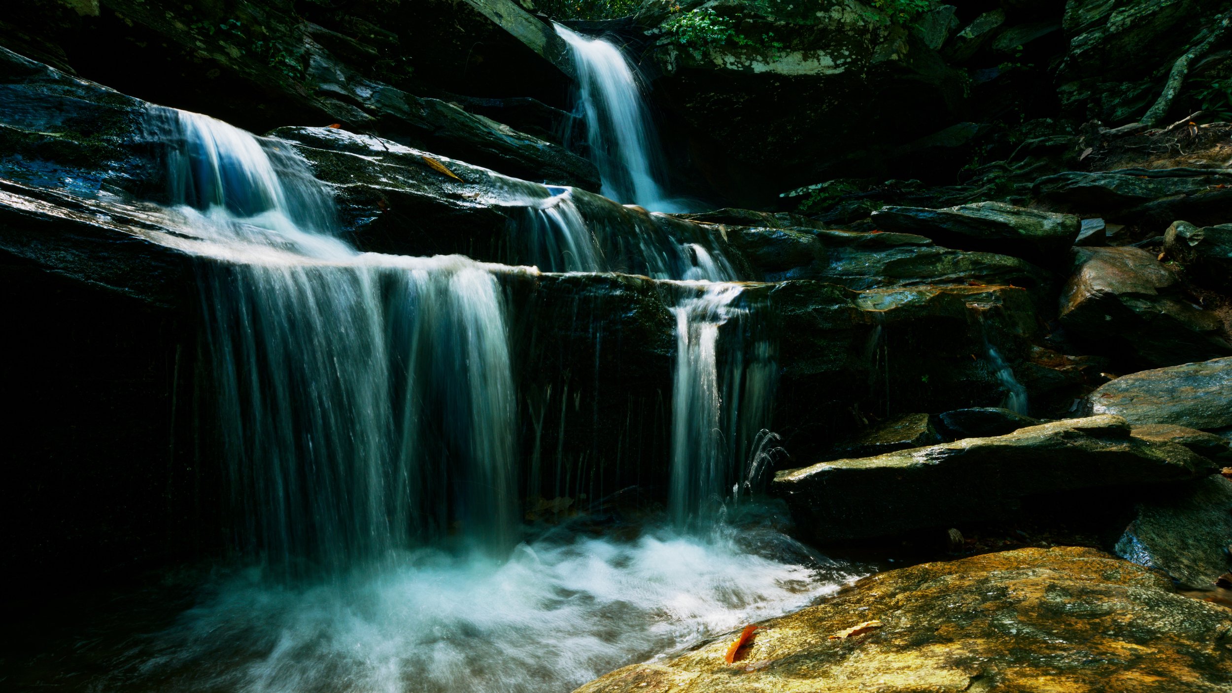 Logan Castillo Photography