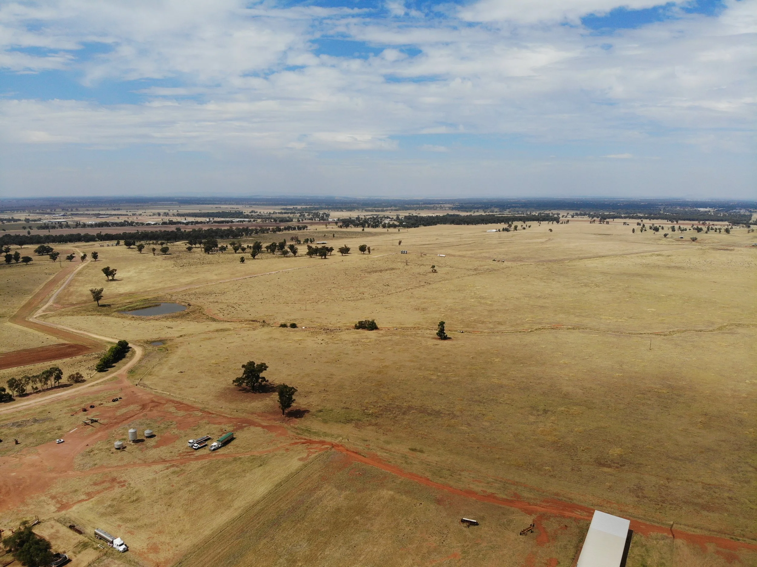 Forbes Solar Farm