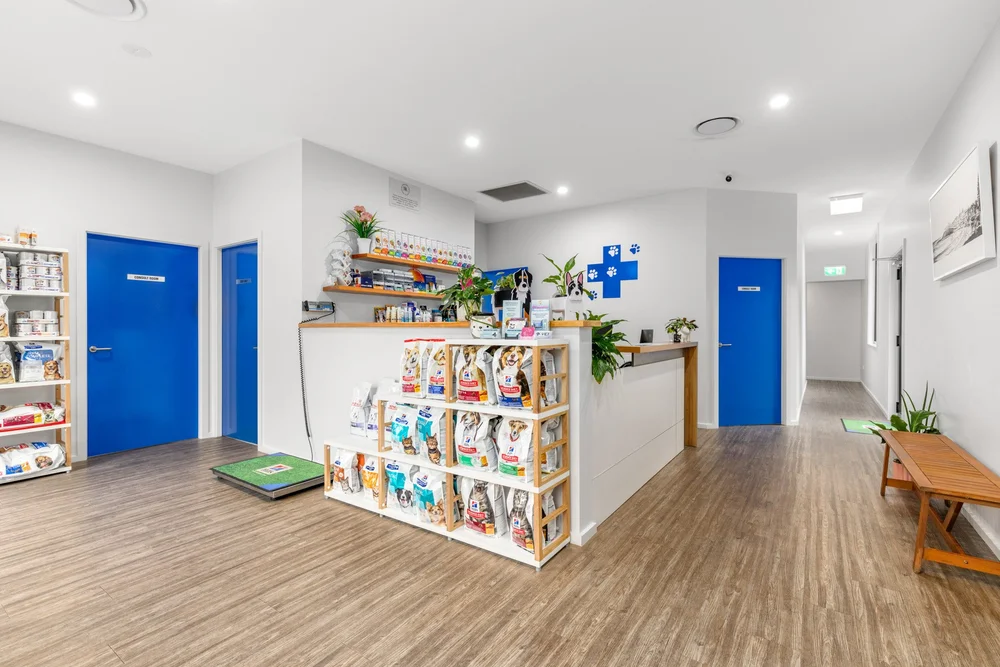 Woolgoolga Vets, Woolgoolga — Build by the Sea