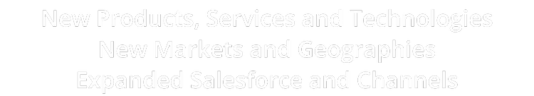 Investment Strategy | Radial Equity Partners