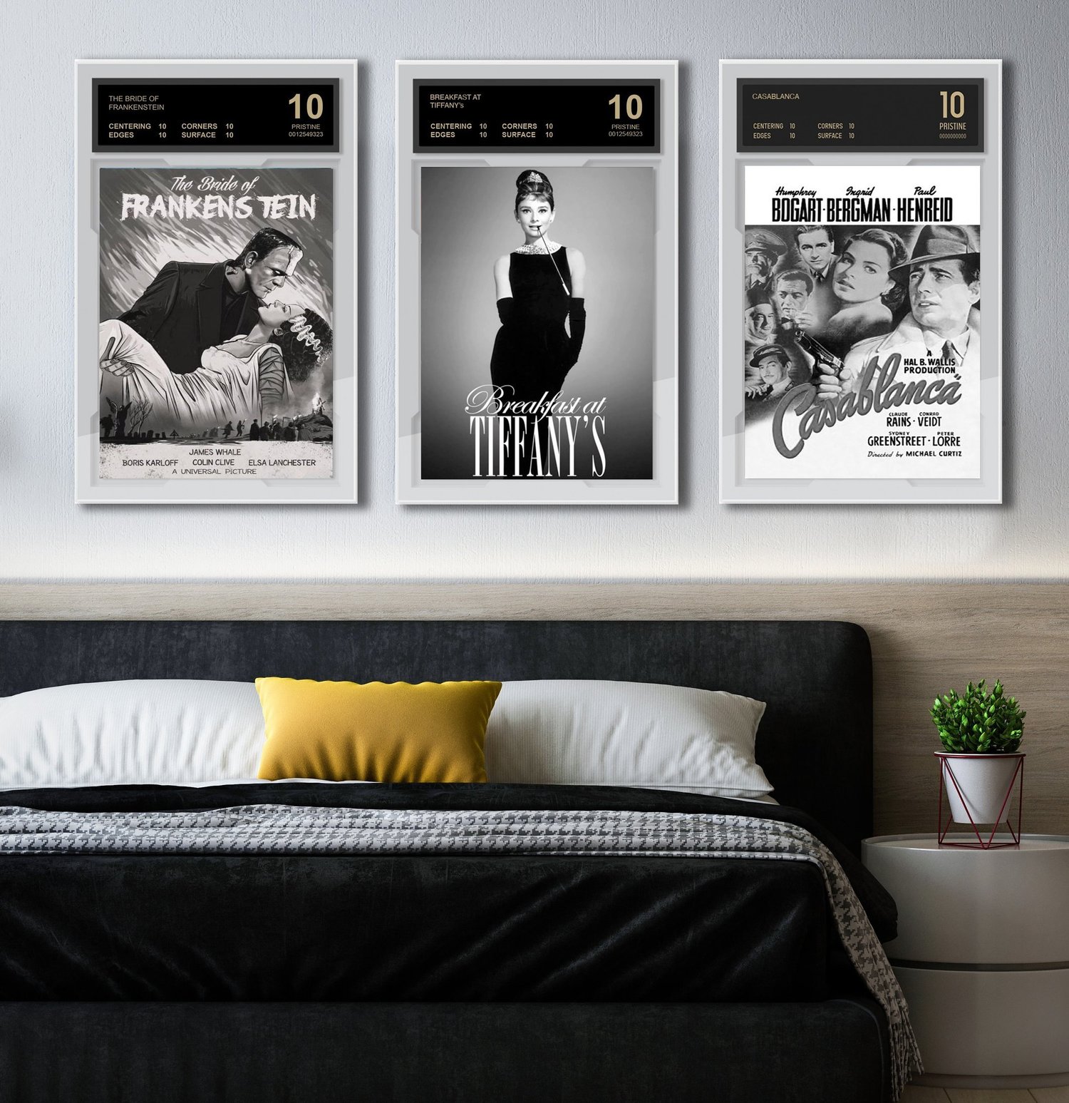 MEMORABILIA DISPLAYS — www.pather.com
