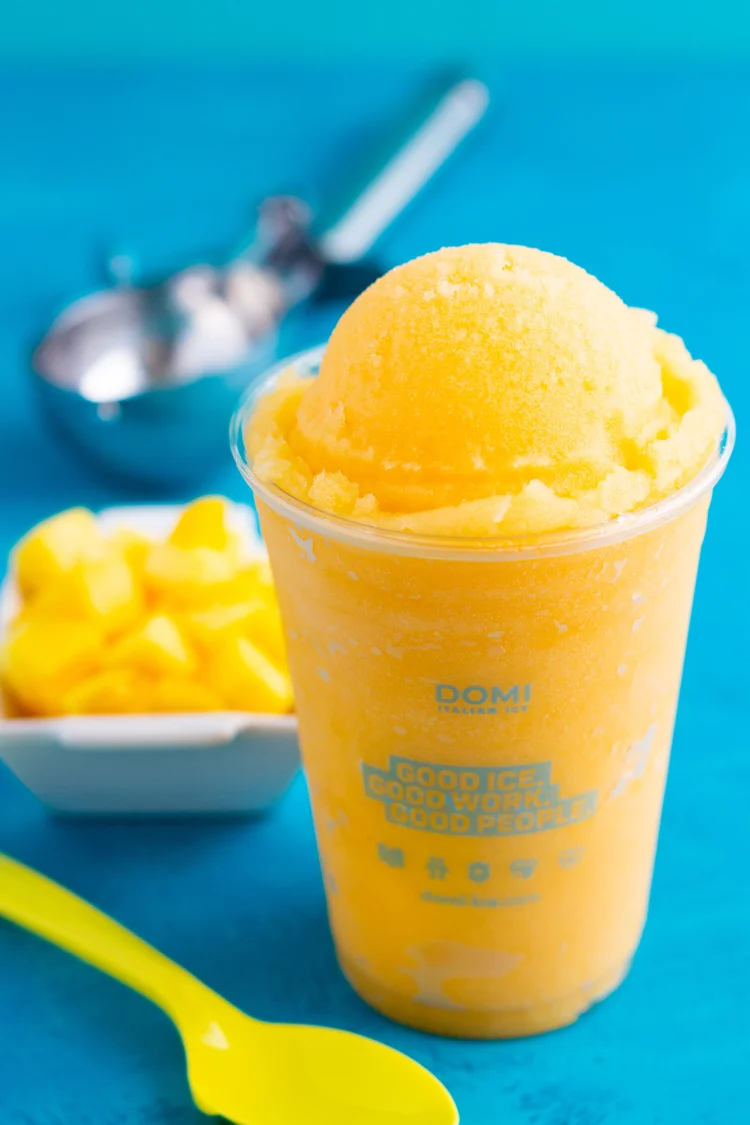 Domi Italian Ice healthy frozen dessert in Orlando, FL