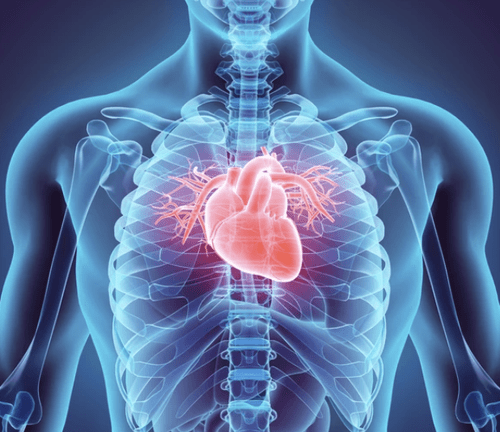 Heartbeat Cardiovascular Medical Group