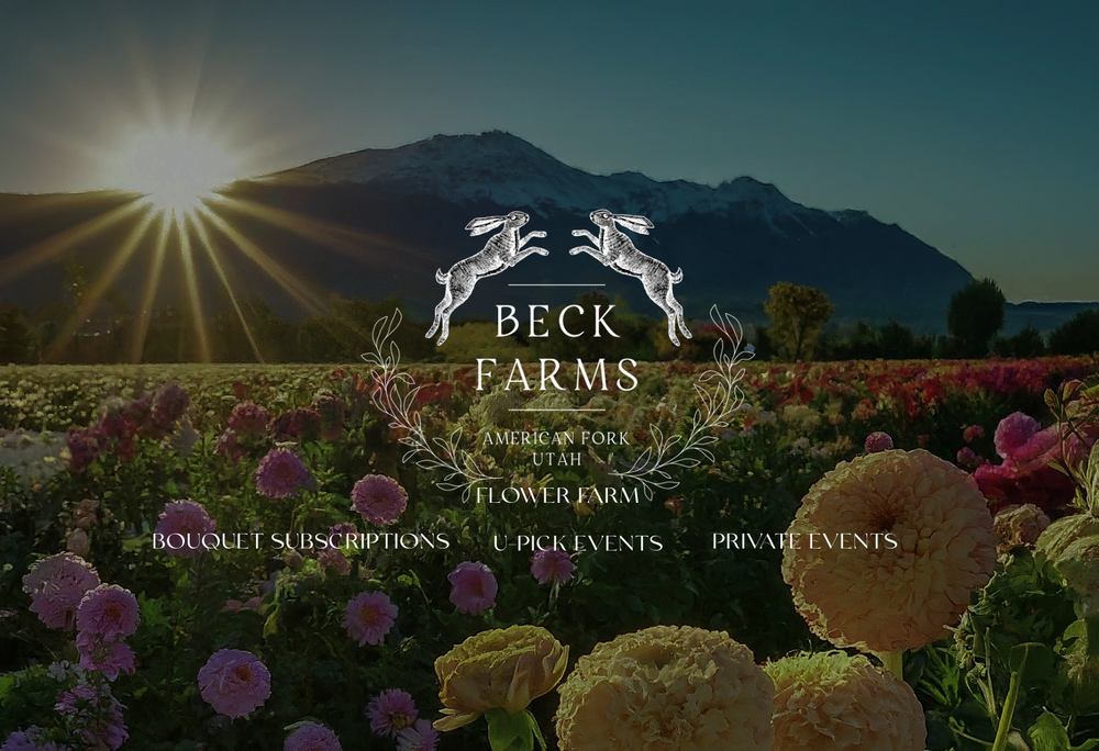 BECK FARMS | Discover Farm Fresh Flowers