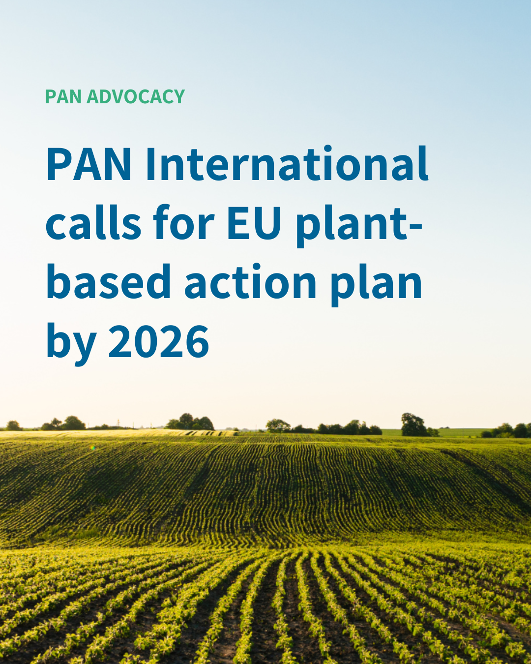 News — PAN International Foundation
