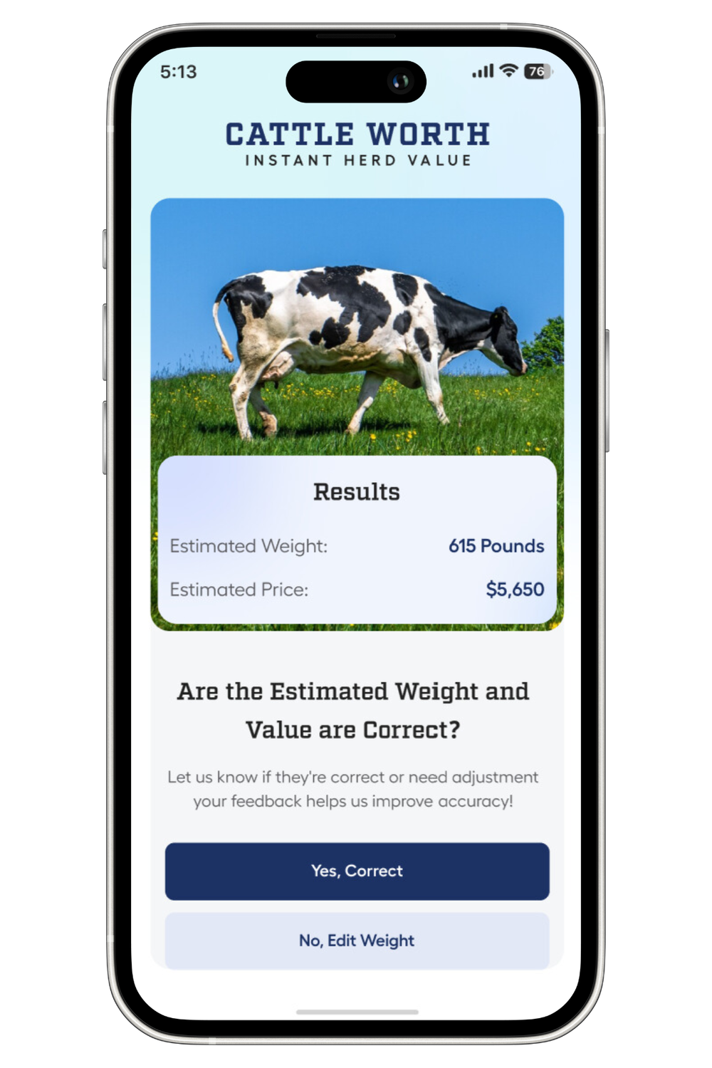Cattle Worth