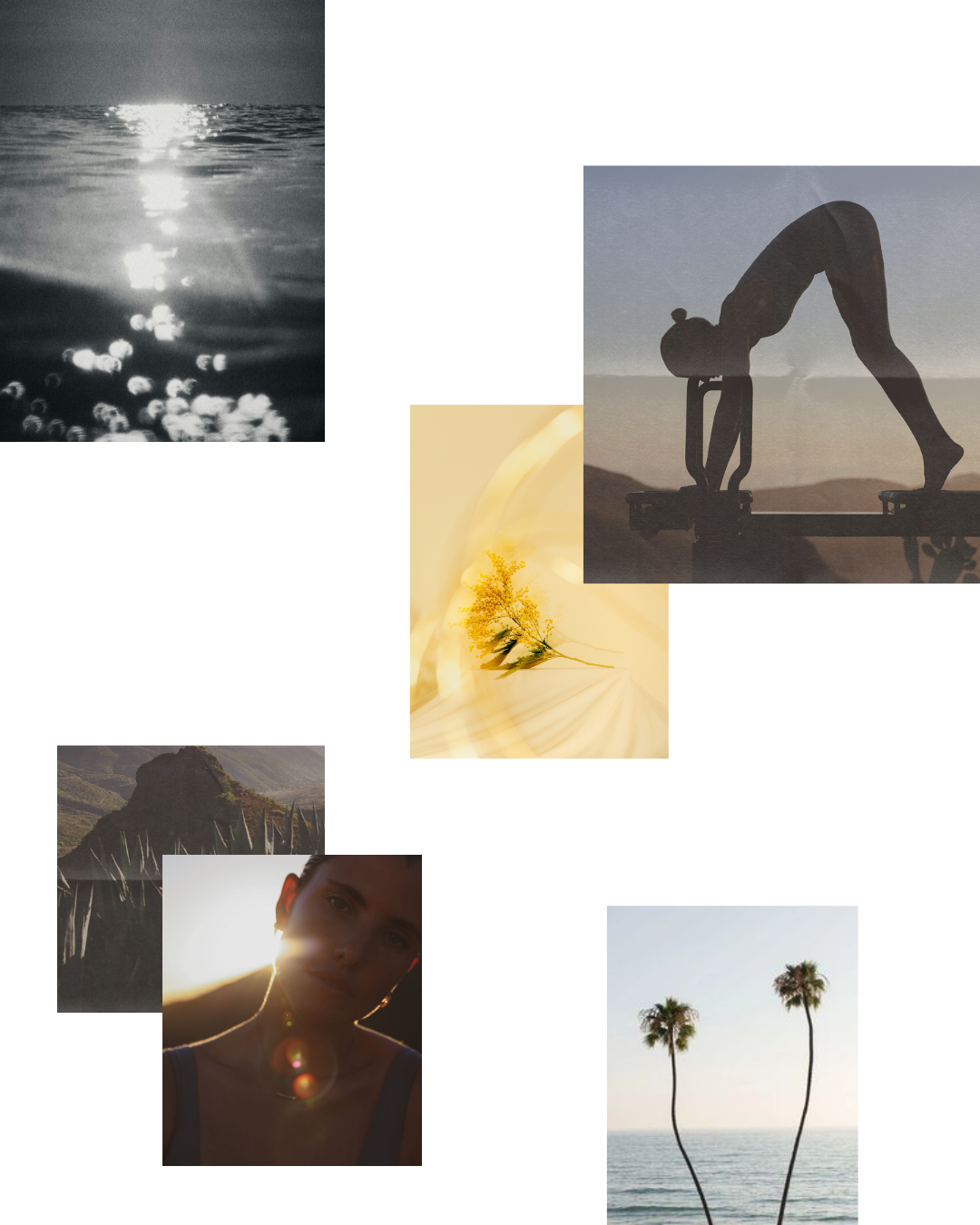 THE STUDIO — PlankHaus