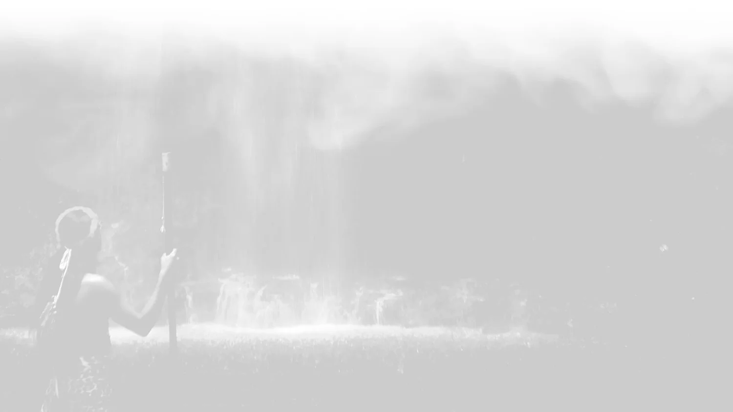 Caso Tagaeri-Taromenane | Apoya y Actúa Ahora — Fundación Pachamama