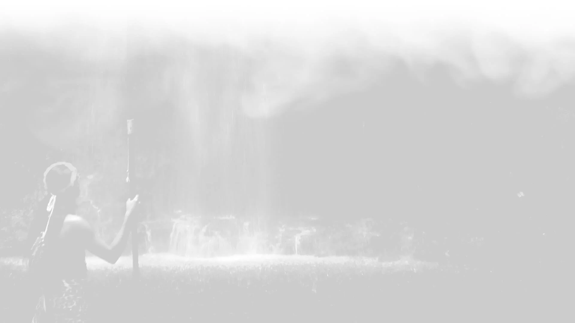 Caso Tagaeri-Taromenane | Apoya y Actúa Ahora — Fundación Pachamama