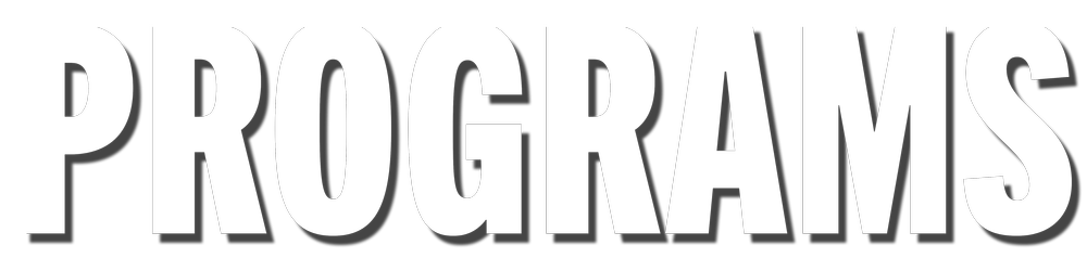 Programs — Synergy Learning Systems