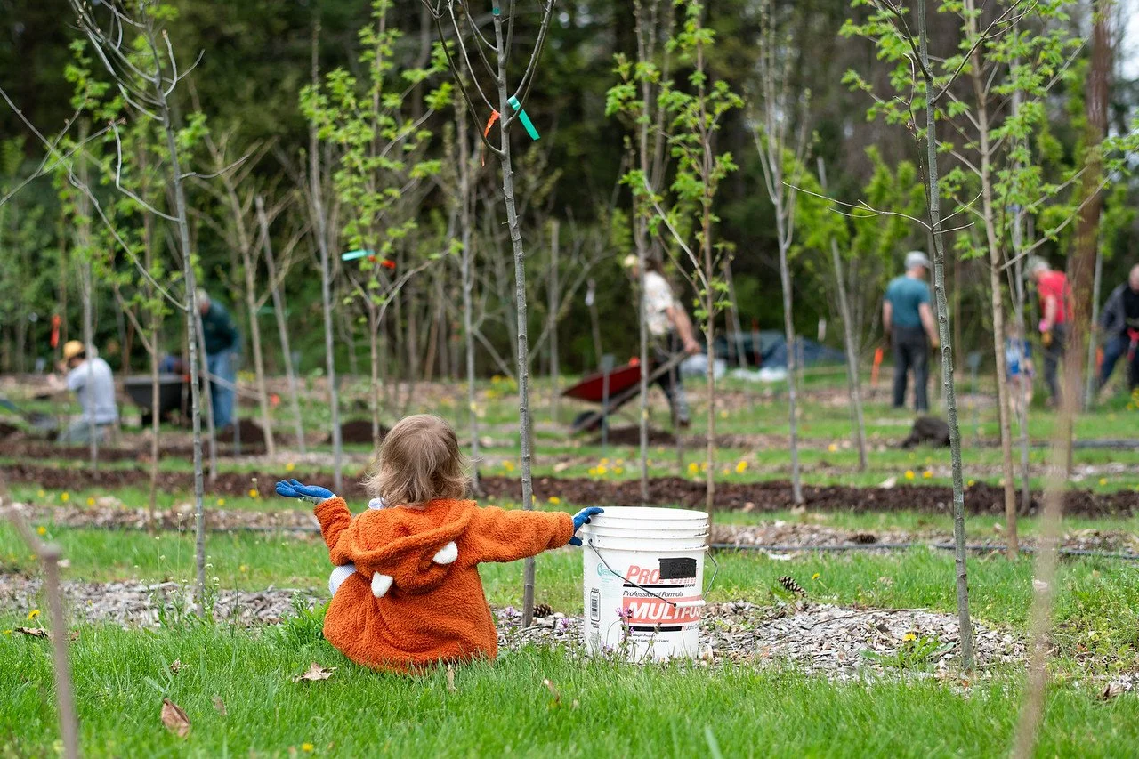 Branch Out Burlington! - Tree Planting, Stewardship, and Community ...