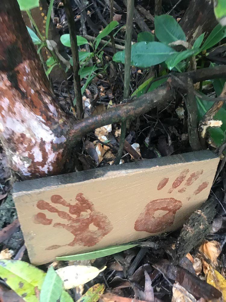 Otways Indigenous History — Richard Collopy