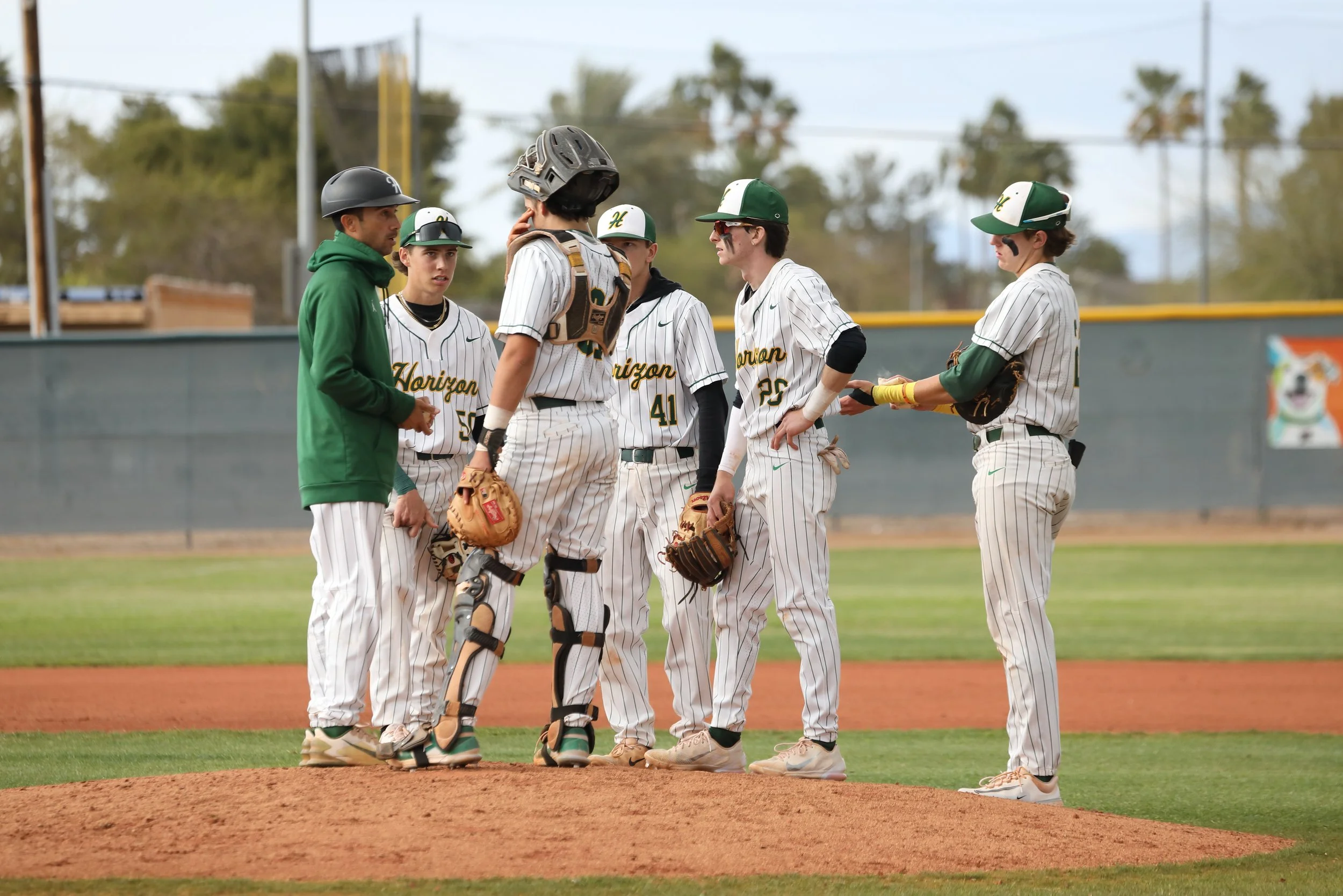 Horizon Husky Baseball