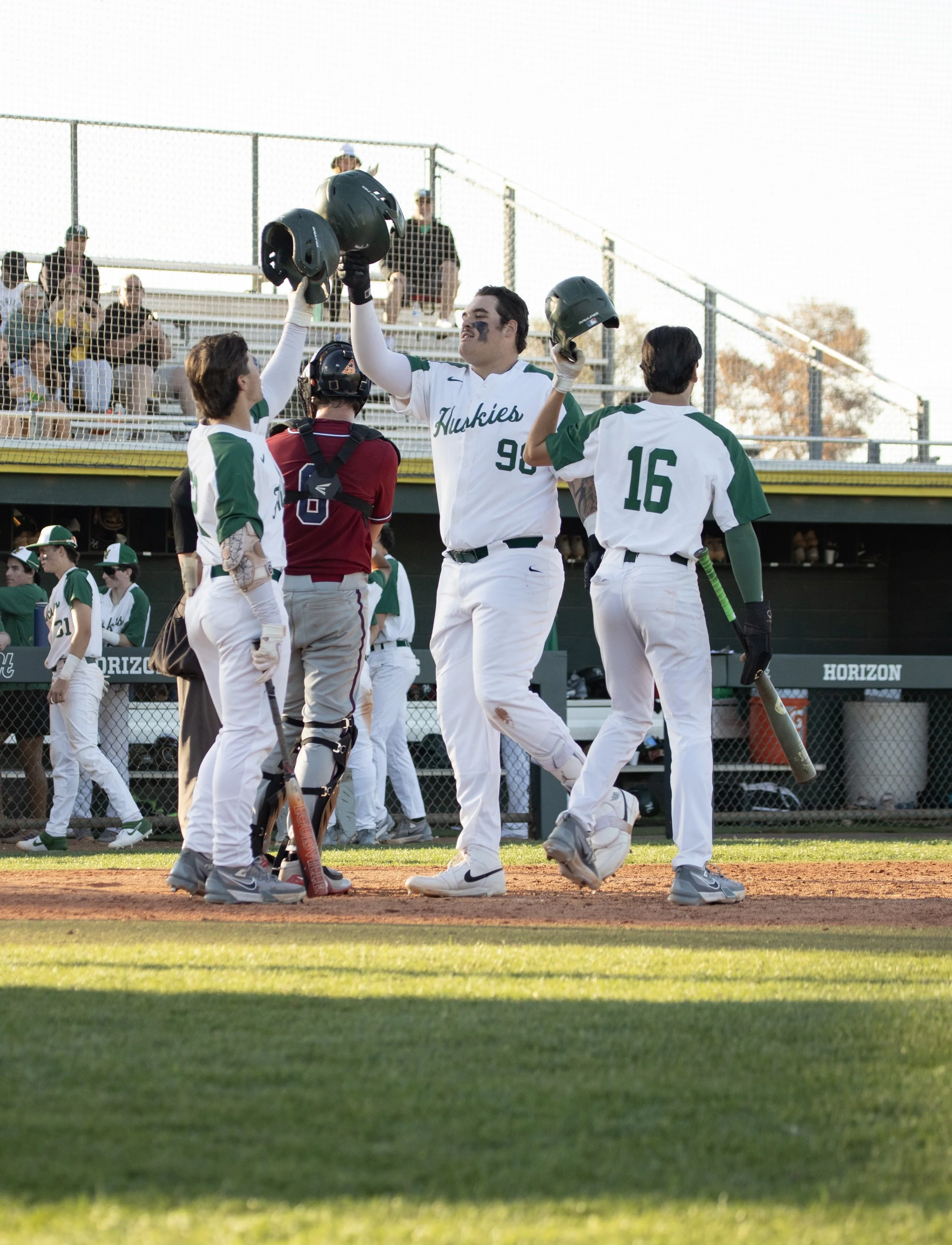 Teams — Horizon Husky Baseball