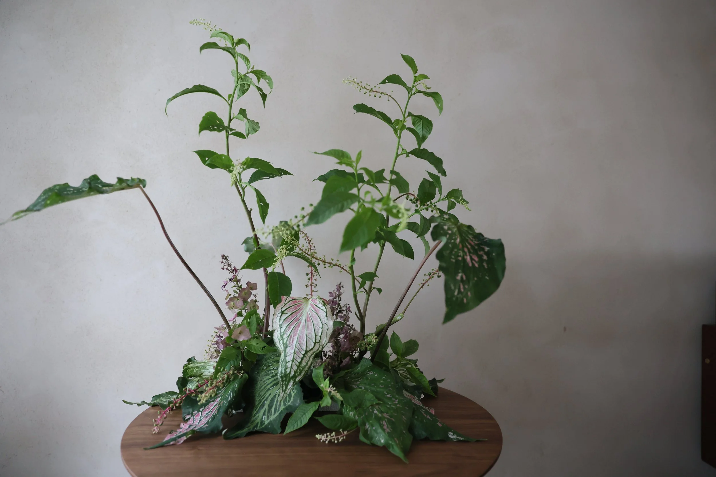 The Flaneuse Flower