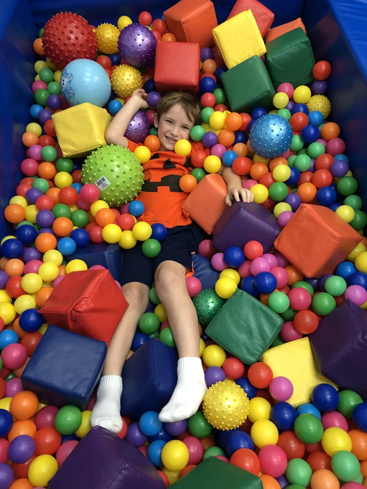 BlueBird Pediatric Therapy