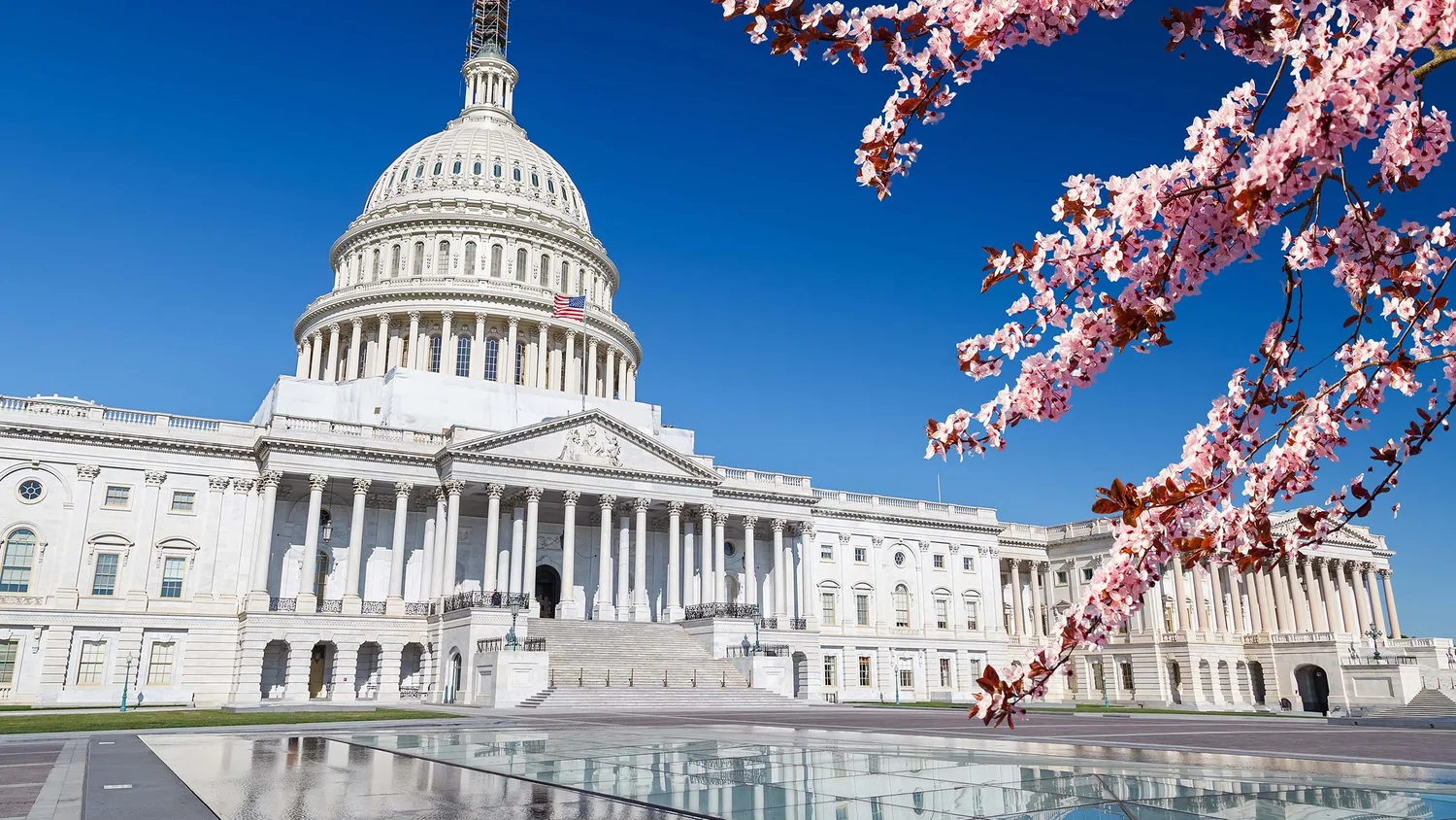 About ROUK — Republicans Overseas