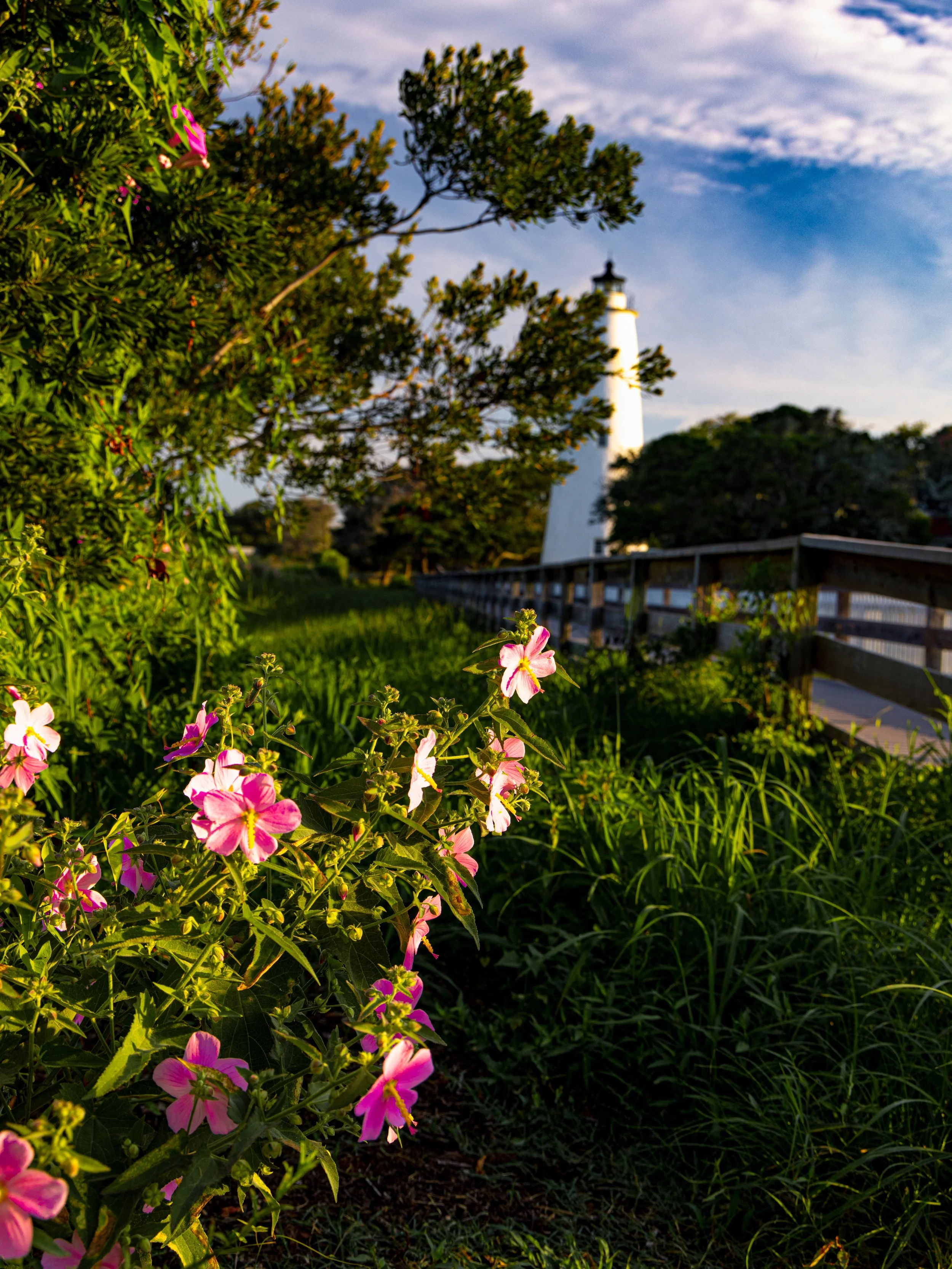 Ocracoke Island: A Hidden Gem In The Outer Banks — Mike Willey