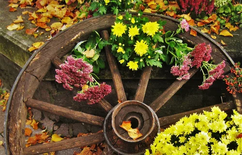 The Wheel | Enhance Relationships — Learn the Wheel — Wheel of Consent
