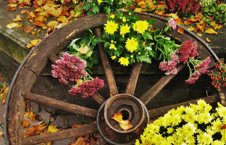 The Wheel | Enhance Relationships — Learn the Wheel — Wheel of Consent