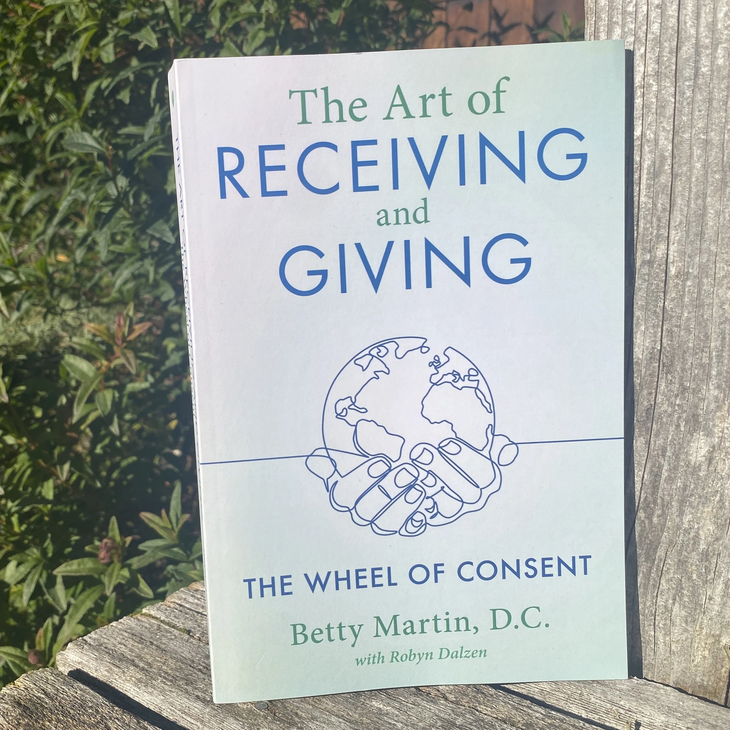 Wheel of Consent | Discover Consent Skills Today