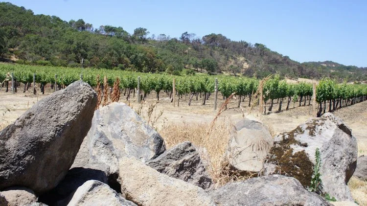 Volcanic Wines – Magic Behind Napa’s Atlas Peak Mountain — Atlas Peak ...