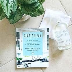 CLEAN MAMA: What You Need To Know (Complete Review) — Today with Terri K