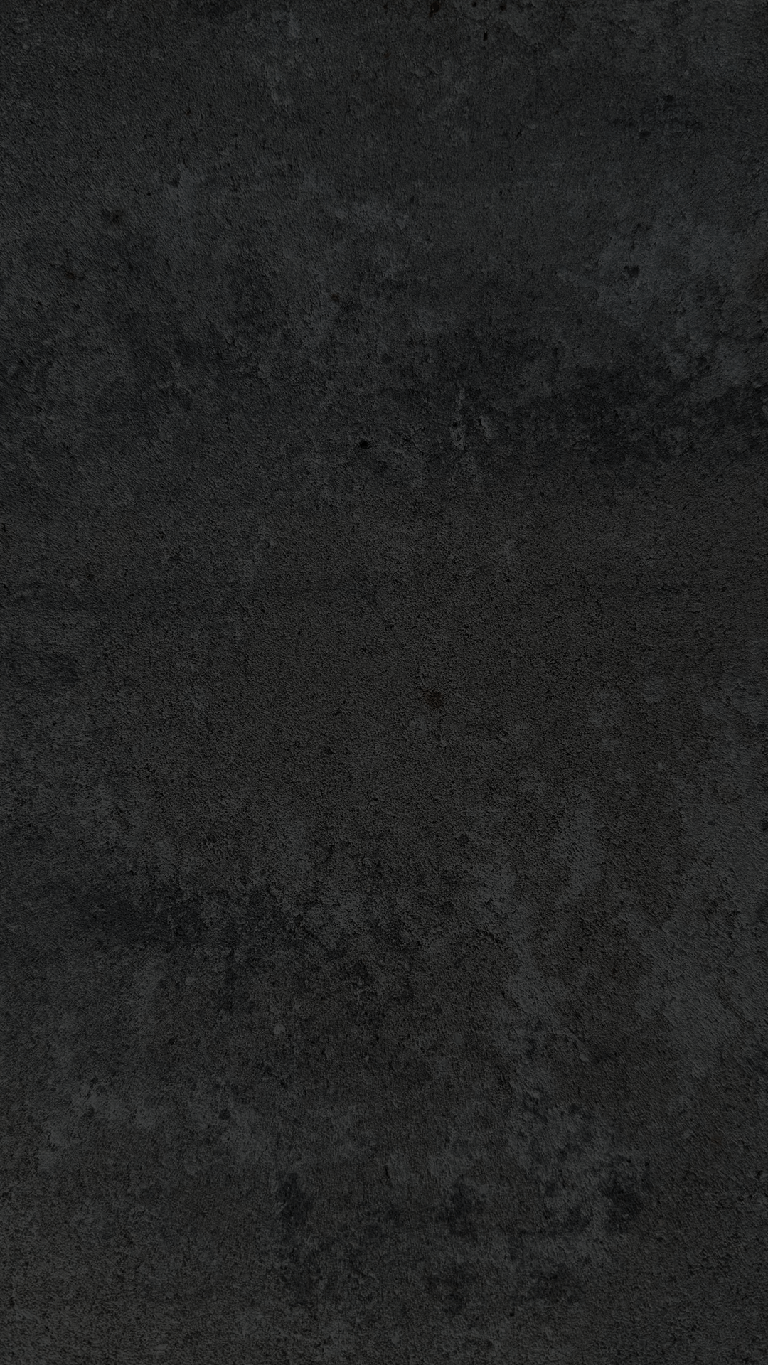 Raleigh — Sheepdog the Movie