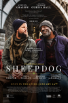 Sheepdog the Movie