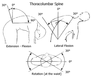 Rating Schedule for Spine | Find out how the VA rates the back and neck ...