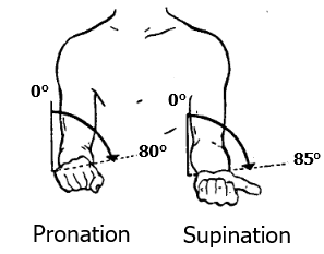 Rating Schedule for The Elbow and Forearm — Veterans Benefits Knowledge ...