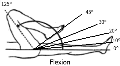 Rating Schedule for the Hip and Thigh — Veterans Benefits Knowledge Base