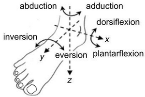 Rating Schedule for The Ankle — Veterans Benefits Knowledge Base