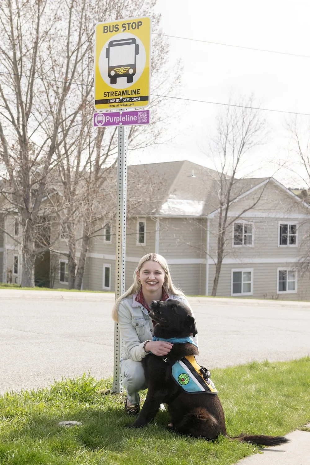 Steering Streamline Bus