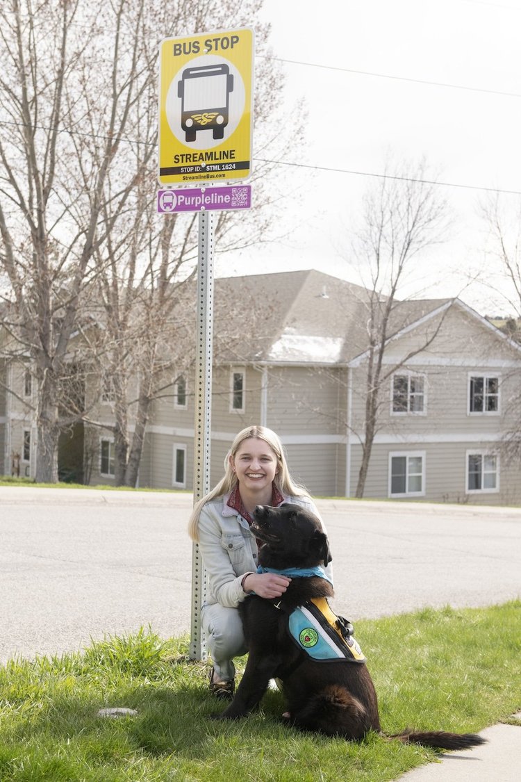Steering Streamline Bus