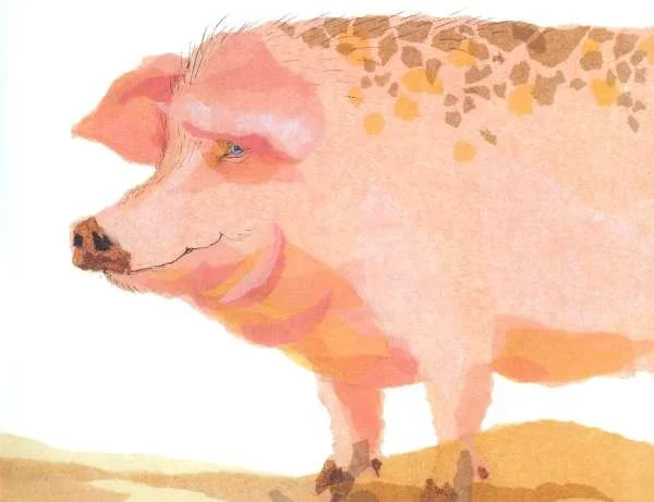 Hattie and the Fox — Mem Fox