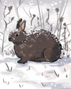 Nurturing Natives- Eastern Cottontail — Michigan Arts