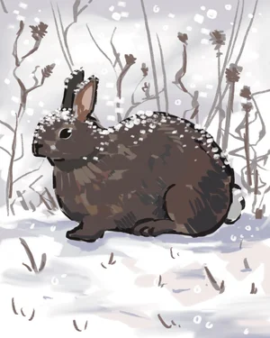 Nurturing Natives- Eastern Cottontail — Michigan Arts
