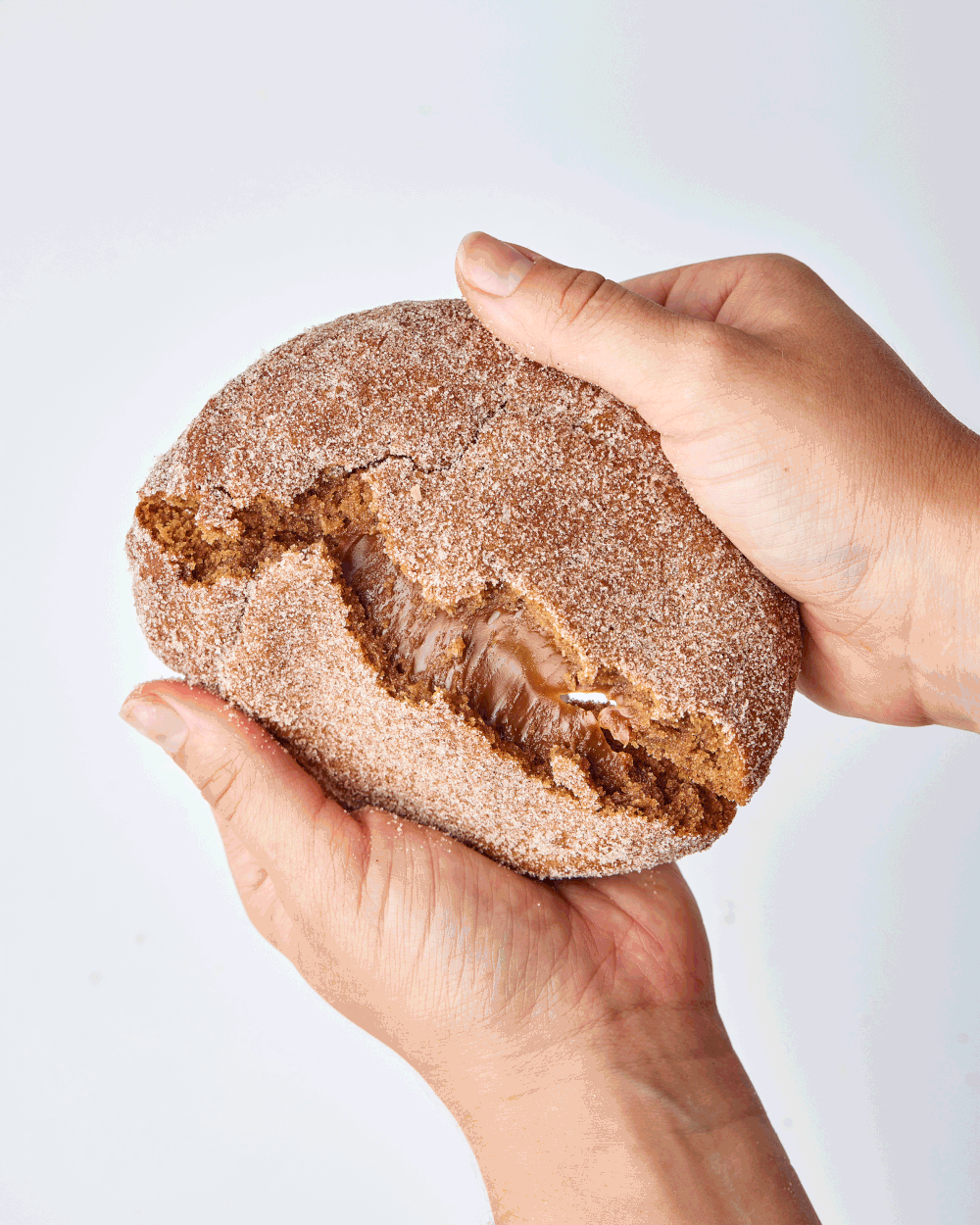 ButterBoy | Stock Cookies