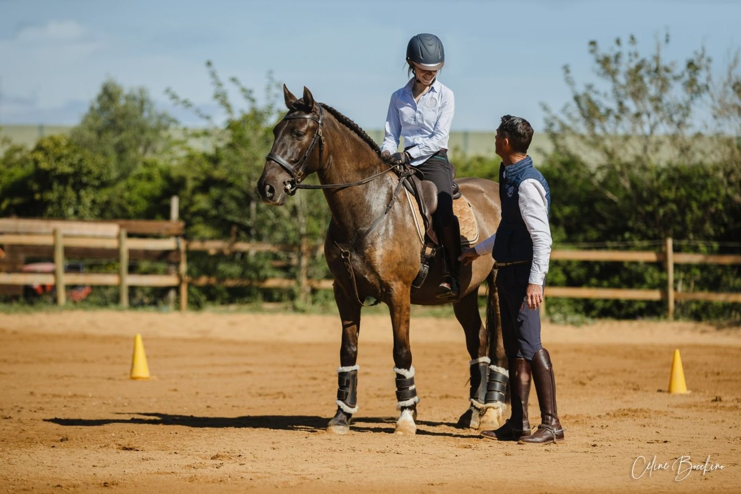 Working Equitation Academy