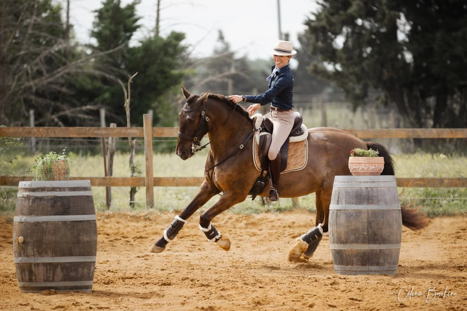Working Equitation Academy