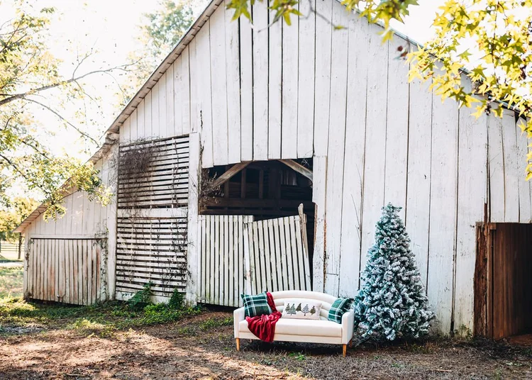 Reserve — Daffodil Farm | Georgia's Largest Photography Haven, Calhoun GA