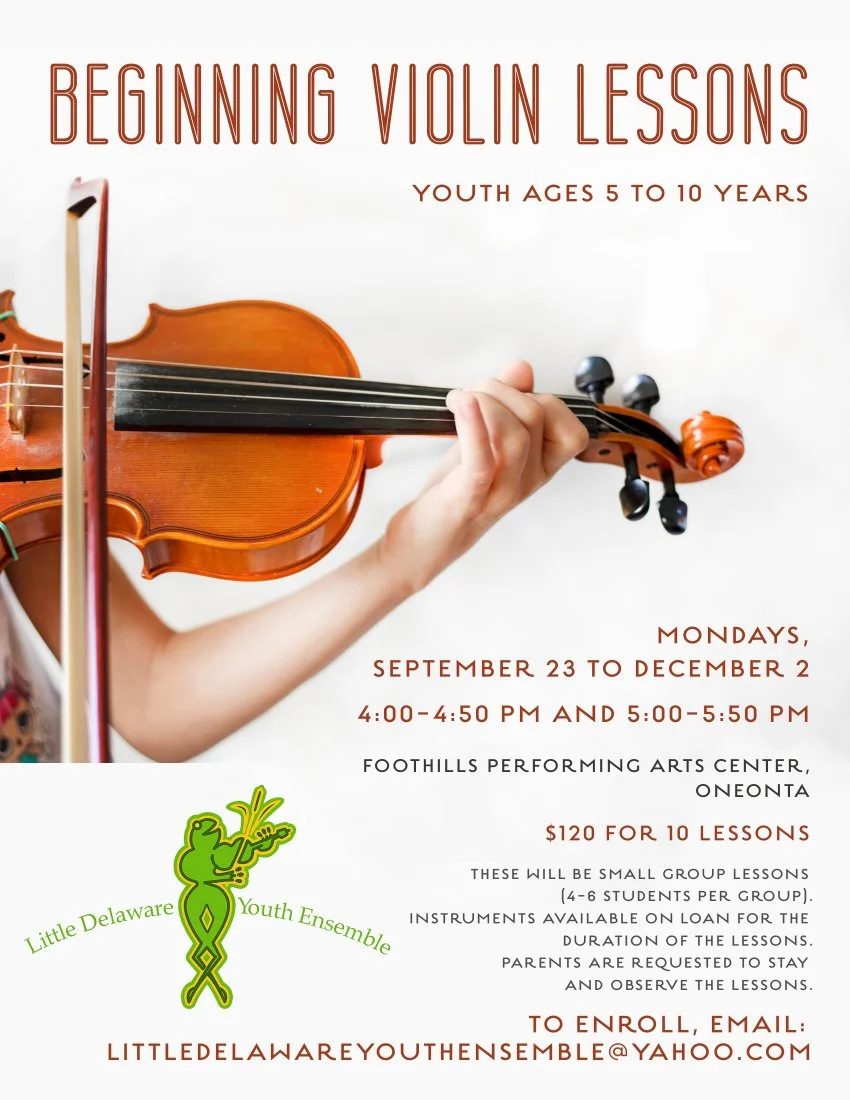 Introduction to Violin — Little Delaware Youth Ensemble