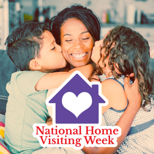 Institute for the Advancement of Family Support Professionals