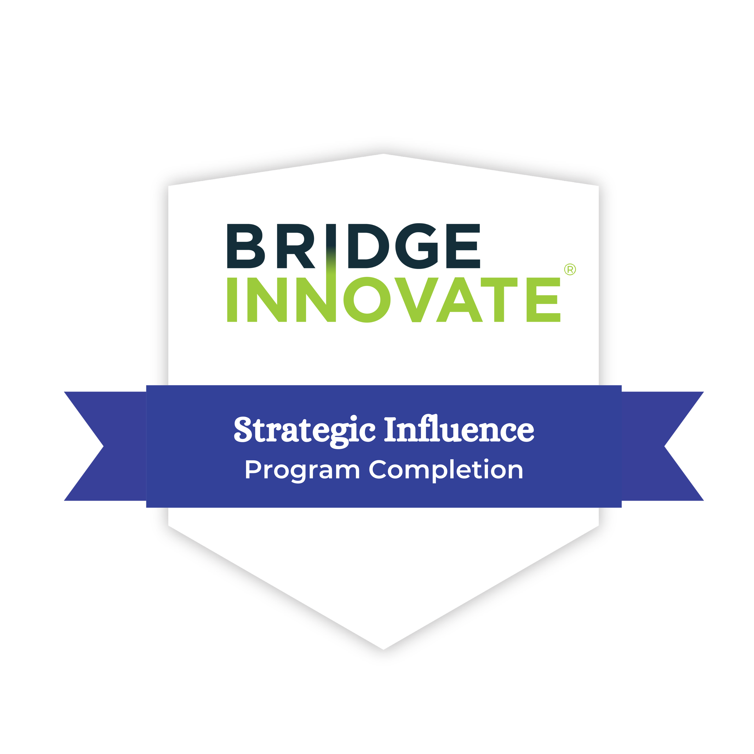 Strategic Influence — Bridge Innovate