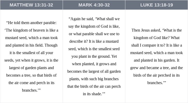 Comparing the Synoptic Gospels: Matthew, Mark, and Luke — Scripture ...