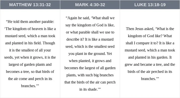 Comparing the Synoptic Gospels: Matthew, Mark, and Luke — Scripture ...