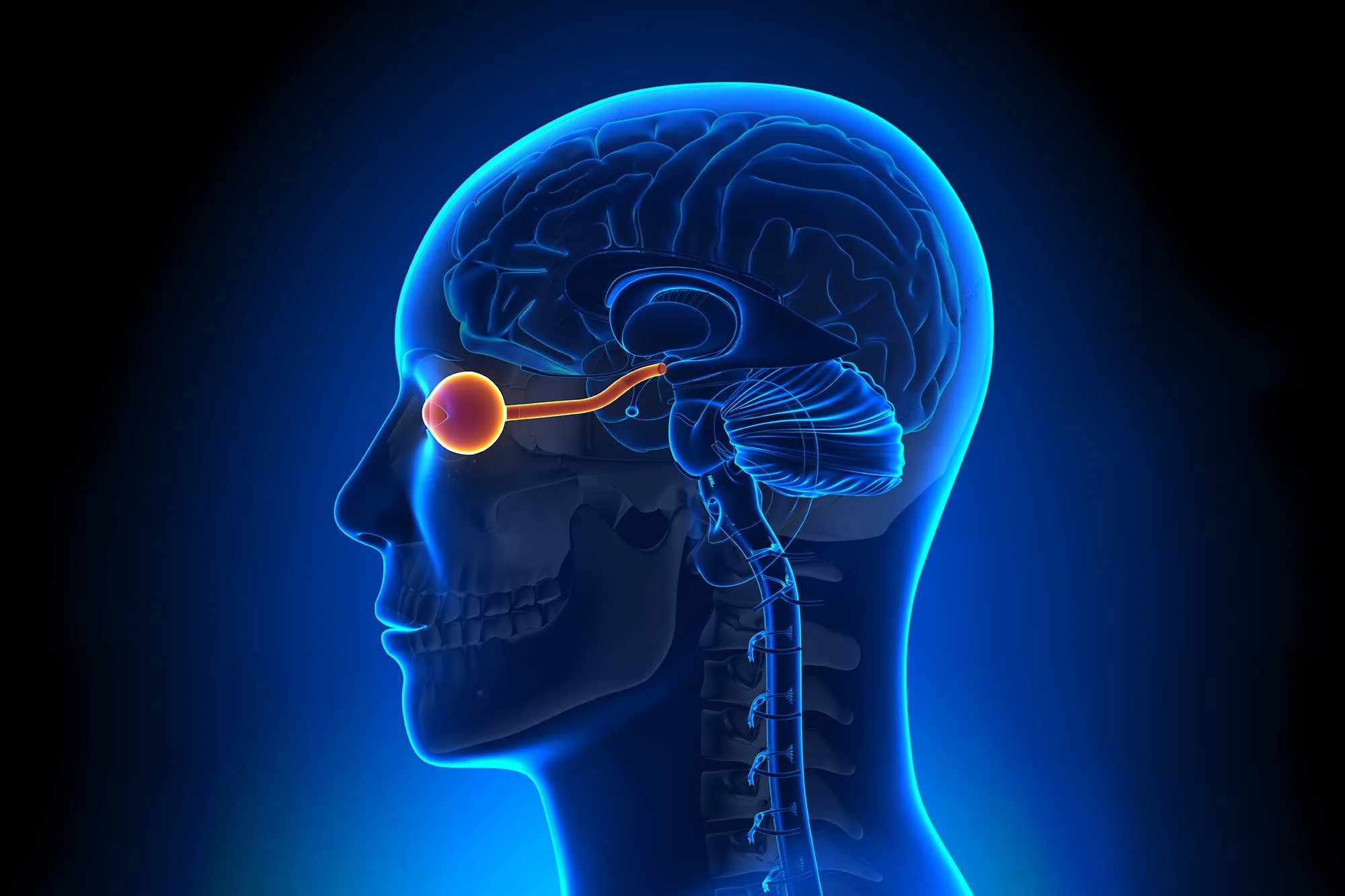 Neuro-Ophthalmology Care — Hashemi Eye Care